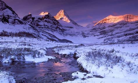 Download Captivating Winter Wonderland Wallpaper