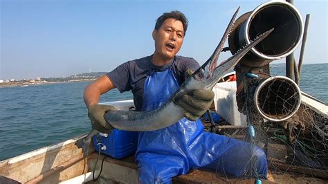 阿阳出海捕到生猛大货，两排尖牙堪比鳄鱼，看着就害怕 Youtube