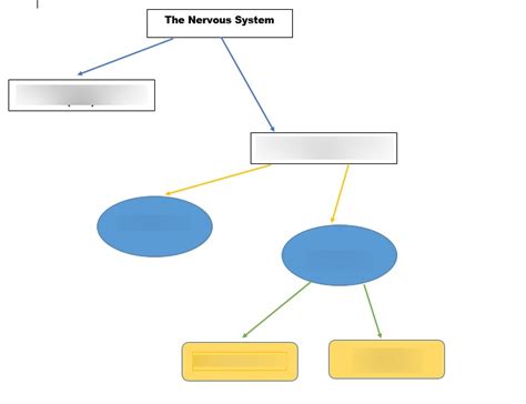 PSYC1101 Exam 1 3 Diagram Quizlet