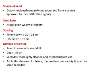 Wheat Seed Production Technology In Central India PPTX