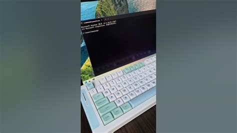 Ascii Art Fun How To Use Curl To See A Parrot Animation