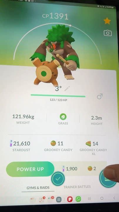 Involving Grookey Into Thwakey Into Rilaboom Youtube