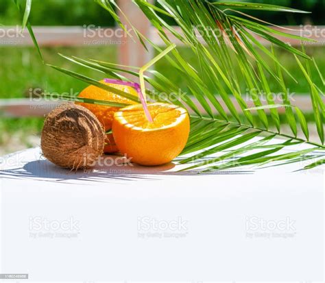 흰색 둥근 배경에 오렌지 코코넛과 야자수 잎의 구성 여름의 장면건강 식품 0명에 대한 스톡 사진 및 기타 이미지 0명 감귤류 과일 건강한 식생활 Istock