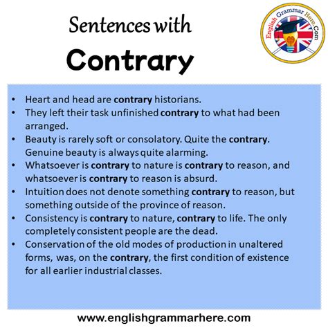 Sentences For Contrary Archives English Grammar Here