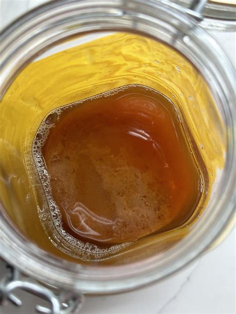 Is My Scoby Dead R Kombucha