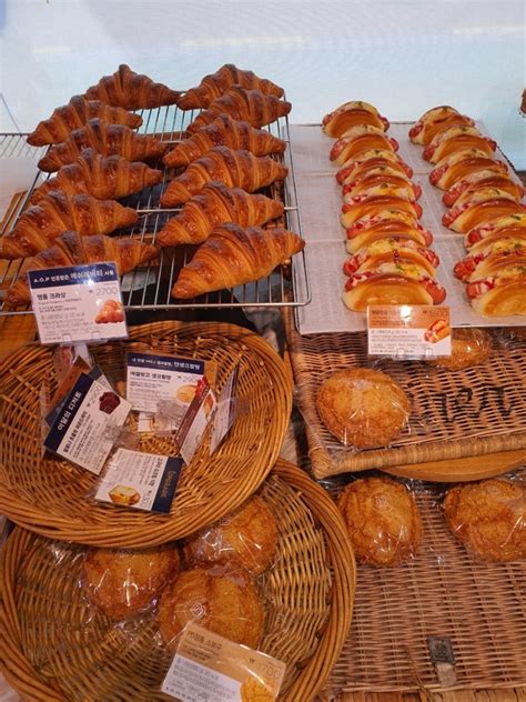서울 빵지순례 빵집투어 파리바게트 가을 신메뉴 양재본점 네이버 블로그