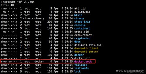 Linux文件种类、扩展名与目录配置详解linux Mime Csdn博客