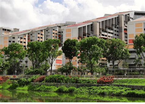 Hdb Blocks With Unique Designs And Colourful Murals Honeycombers