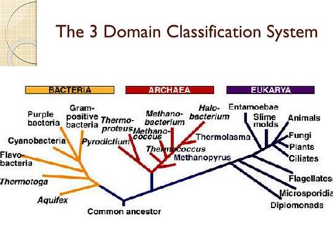 Ppt Monday January 27 2014 Powerpoint Presentation Free Download Id 1990559