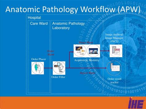 Ppt Anatomic Pathology Domain Pat Powerpoint Presentation Free