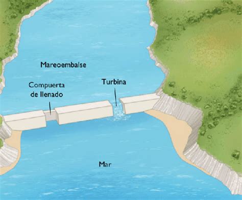 Millonarios EnergÍa Mareomotriz