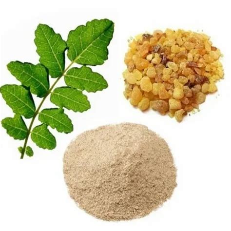 Gensing Extract 20 Ginsenoside By Uv At ₹ 1500 Kg Chhapraula