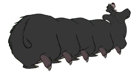 Baloo The Caterpillar Bear Dancing 1 By Twoodland1994 On Deviantart
