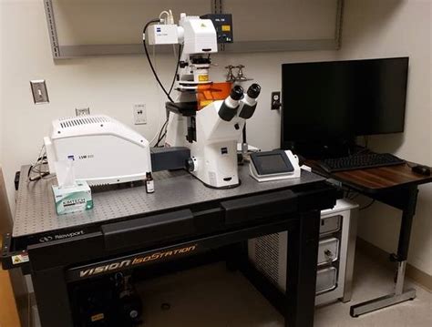 Microscope Zeiss Lsm800 Airyscan Shared Equipment Authority Sea