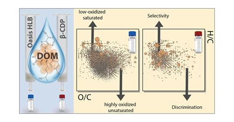 Selectivity Of β Cyclodextrin Polymer Toward Aquatic Contaminants