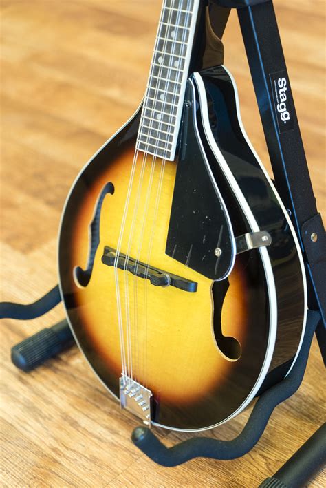 Mandolin In Bluegrass At Dawn Wilkerson Blog