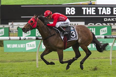 Everest Hero Redzel Repays Owners Faith Racing And Sports