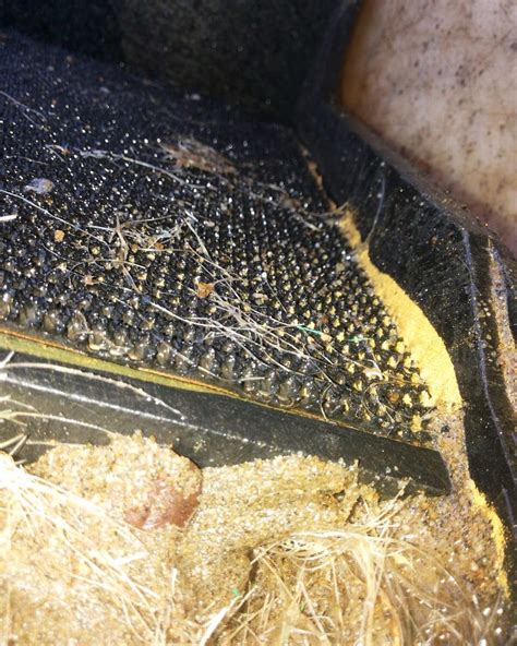 Appropriate Process Technologies Apt On Linkedin Mining