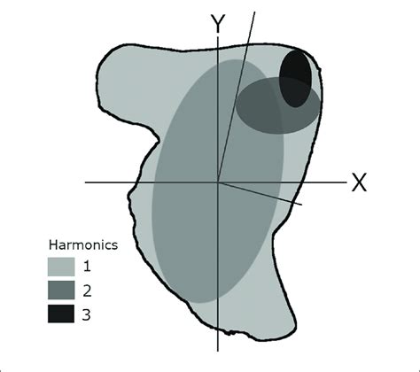 Theoretical Schematic Showing The Elliptic Fourier Approximation Of A