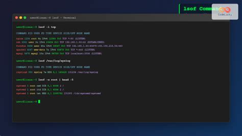 Lsof Command Linux Complete Guide To List Open Files And Running