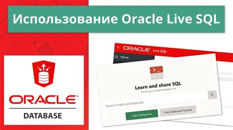 Oracle Live Sql как пользоваться сервисом за 11 минут Смотреть онлайн