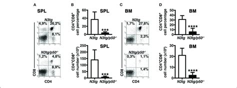 Reduced Expansion Of Cd4 Cd8 Dp T Cells In N3tgp50 −− Mice
