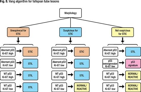 Ancillary Tests In Gynecologic Pathology—what And Why Cap Today