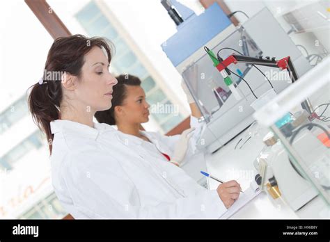 Two Laboratory Workers Conducting Experiment Stock Photo Alamy