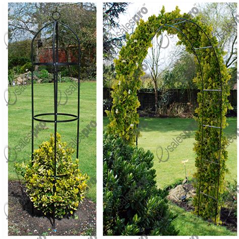 Garden Arch And Obelisk Trellis Feature Climbing Plant Roses Either Or