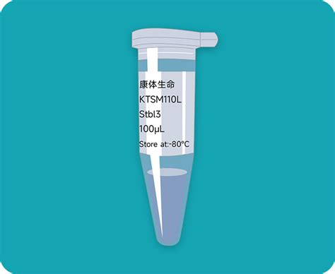 纳米抗体 感受态细胞stbl3 品牌康体生命 深圳 Chemicalbook