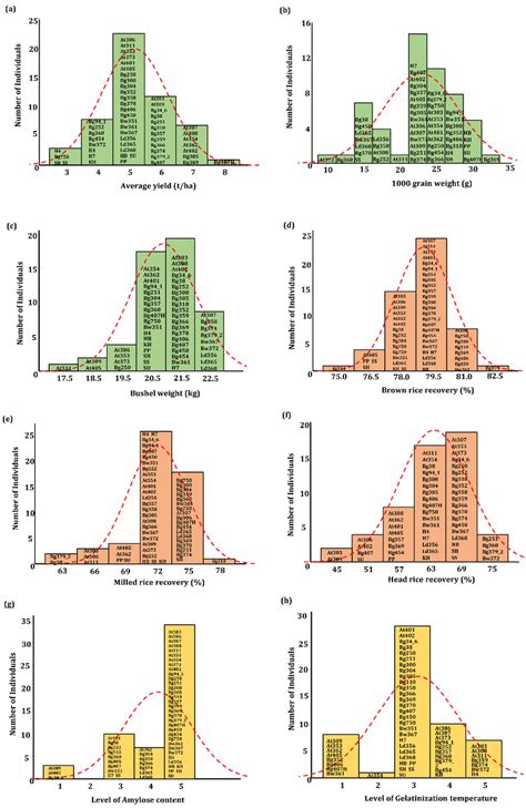 The Classification Of Different Improved And Local Rice Varieties Based