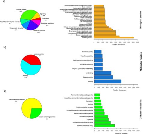 The Gene Ontology Go Classification Of Functionally Annotated Genes