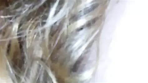 Mauritian Porn Videos With Real Mauritius Sex Xhamster
