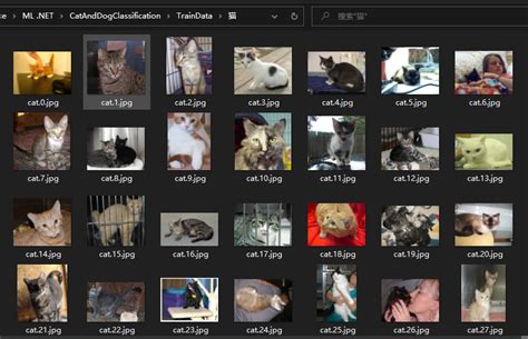 Ml Net 猫狗图像分类 图像识别zlulus的博客 Csdn博客