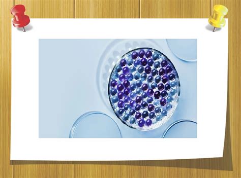 Церамиды - купить в Soap Academy