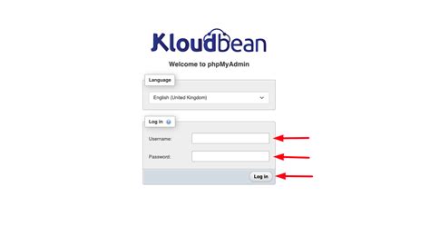 Accessing Application Database