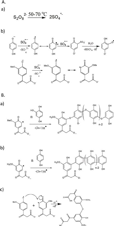 The Possible Reaction Pathways For The Oxidative Coupling Of 3