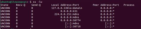 Using Ss Command To Troubleshoot Network Issues On Linux