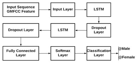 The Block Diagram Showing The Proposed Gender Deep LSTM Download Scientific Diagram