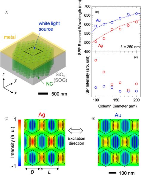 Color Online A Schematic Model Of Nc Plcs In The Fdtd Simulation Download Scientific