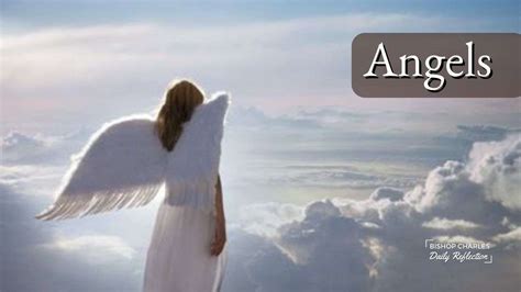 Angels Diocese Of Darwin