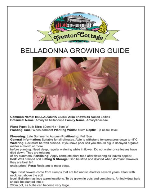 Belladonna Growing Guide Pdf Garden Plants Botany