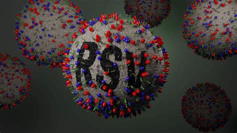 Nirsevimab Is 90 Effective Against Rsv Associated Hospitalizations