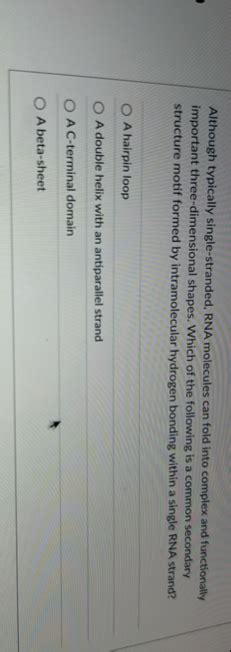 Solved Although Typically Single Stranded Rna Molecules Can