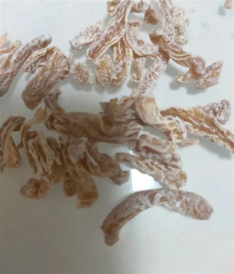記憶中的小時候 資訊咖