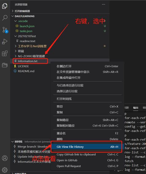 Vs Code使用git可视化管理源代码详细教程 追逐时光者 博客园