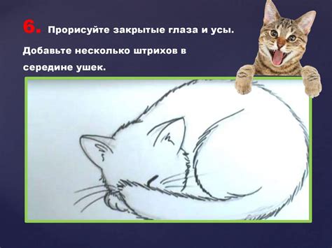 Нарисуй меня Поэтапное рисование кошки презентация онлайн