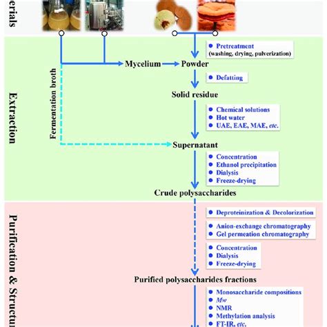 Extraction Purification And Structural Characterization Of β D Glucan Download Scientific