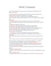 Module 5 Assignment Docx Module 5 Assignment Part 1 Fill In The Blank Put Your Answer To