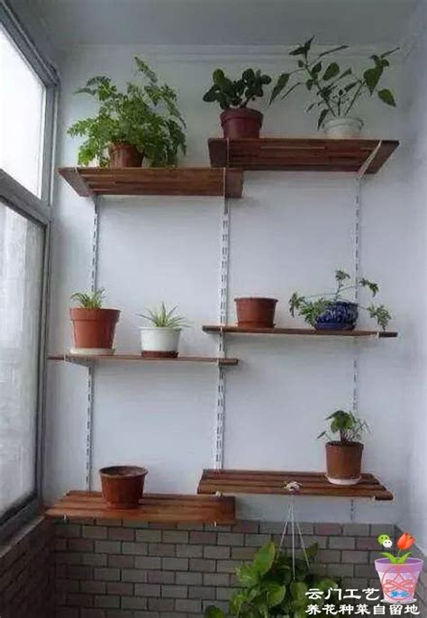 Diy